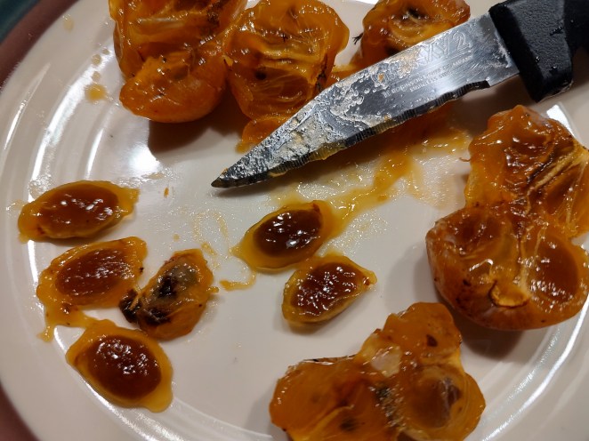 Weather Prediction via Persimmon Trees (?) – Flying Squirrel Outdoors