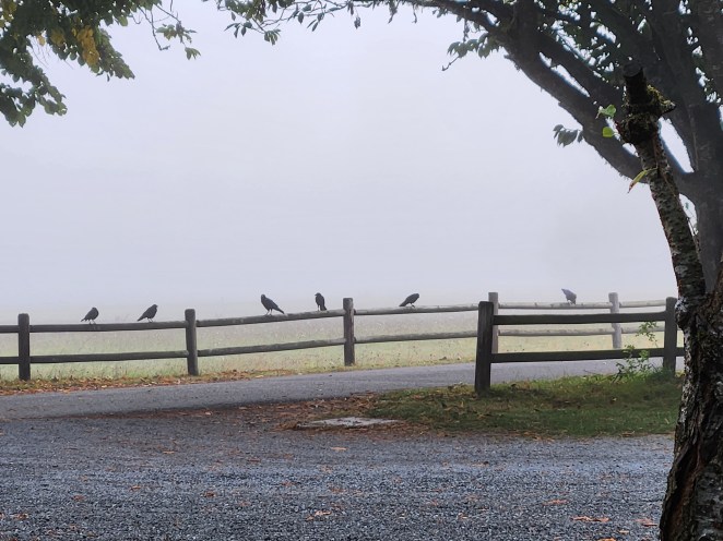 Washington With Bones, Part 6A – North Cascades National Park – Flying ...